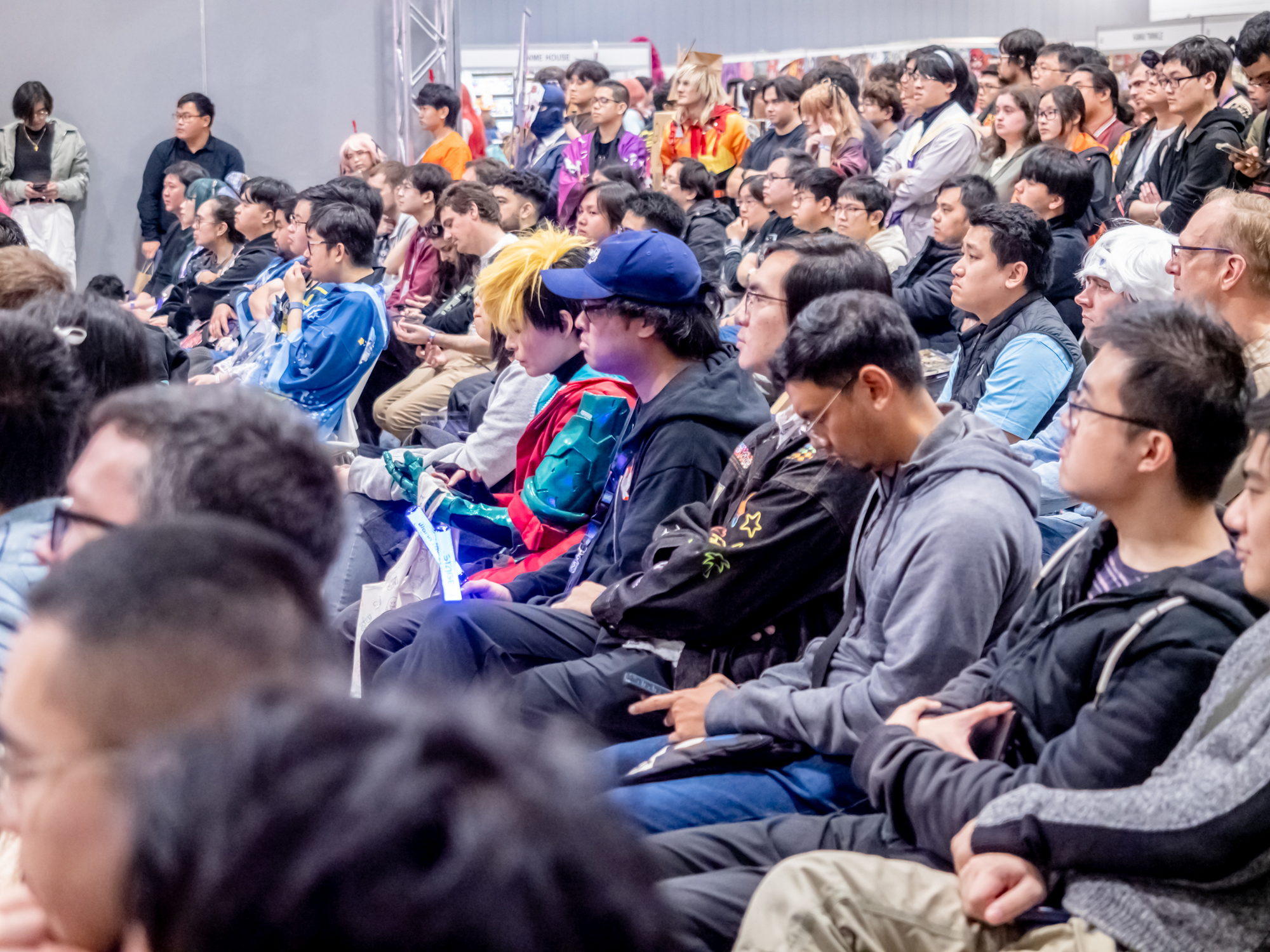 Discover the Story Behind Animaga: Our Journey and Vision